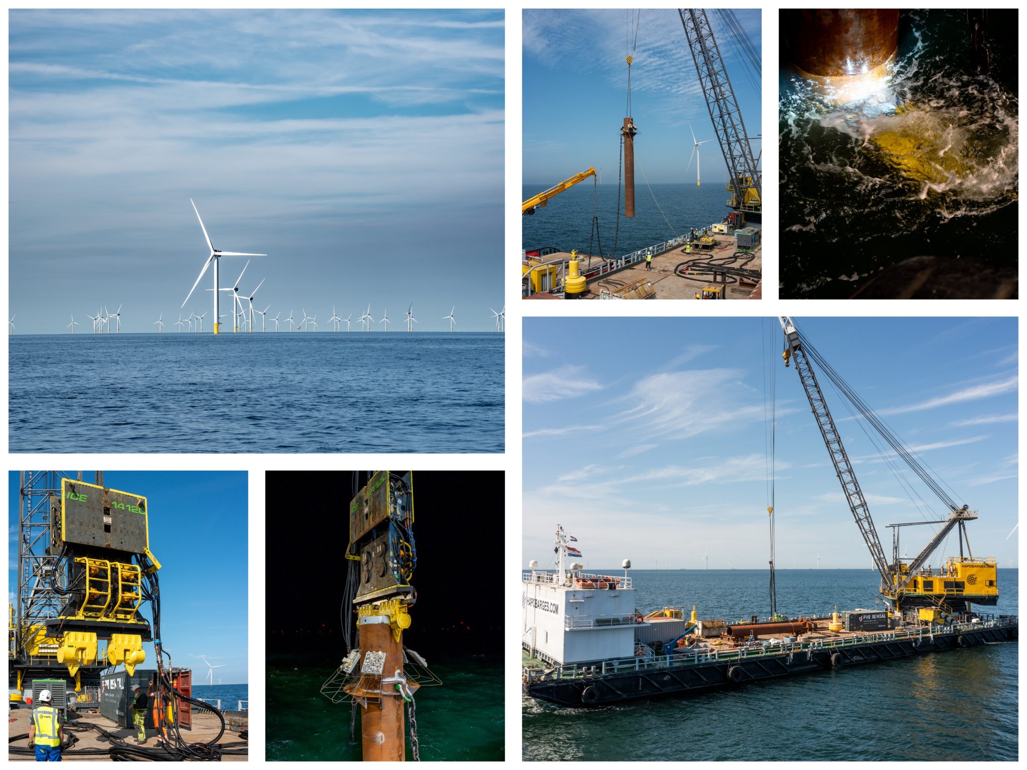 North Sea Farm 1: Pioneering Offshore Seaweed Cultivation - phase 1 ...